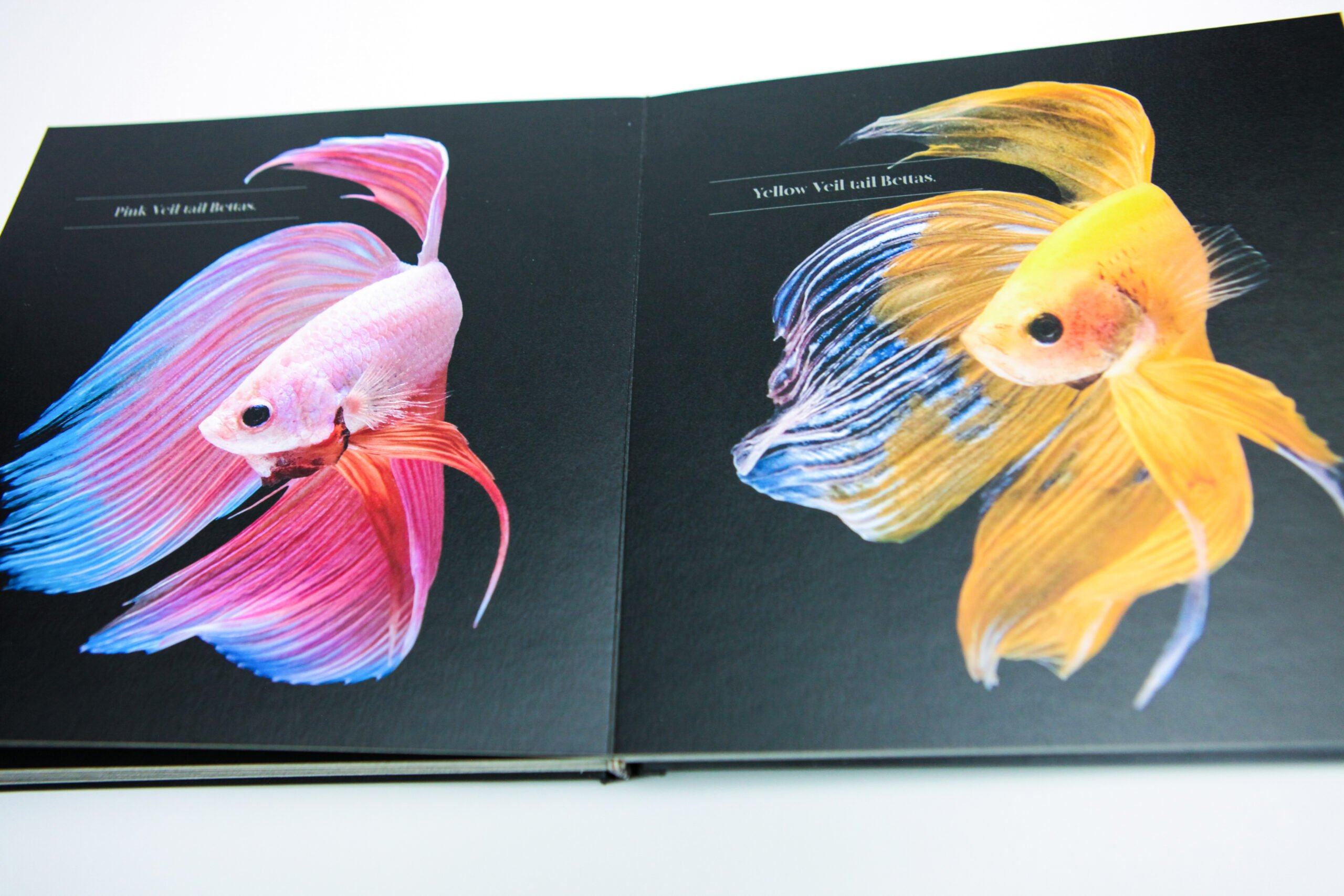 Ternyata Kertas Doff Punya Banyak Kegunaan Loh, Yuk Intip di Sini